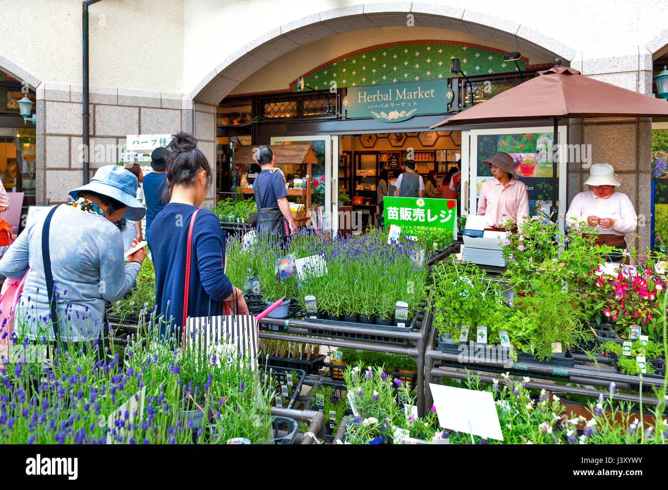 Kobe, Japan - April 2016: Herbal plants sold at Herbal Market, Nunobiki ...