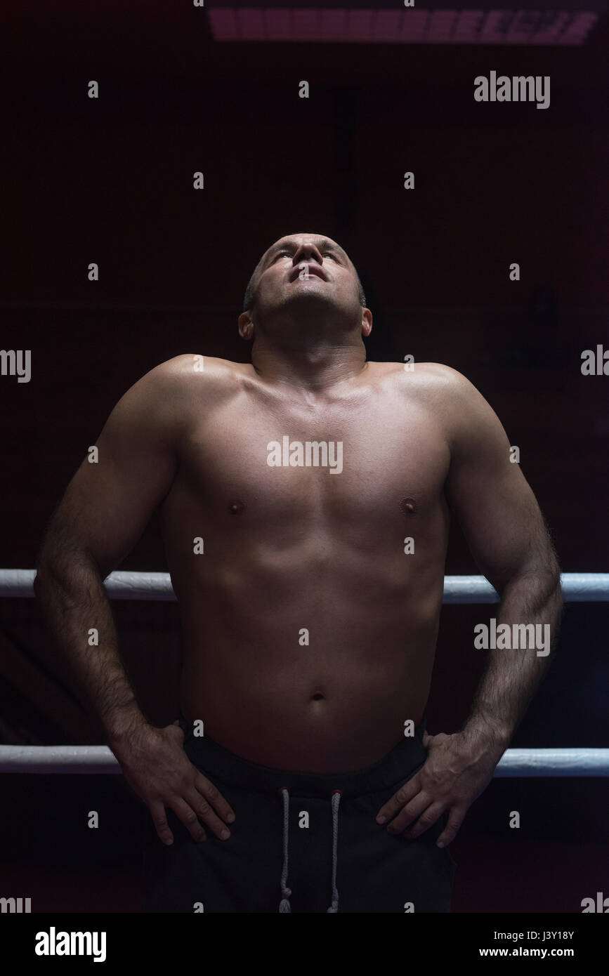 portrait of muscular professional kickboxer who standing in the ring ...
