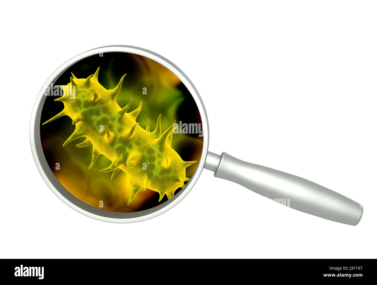 Magnifying glass and pathogen bacteria. Isolated on white background ...