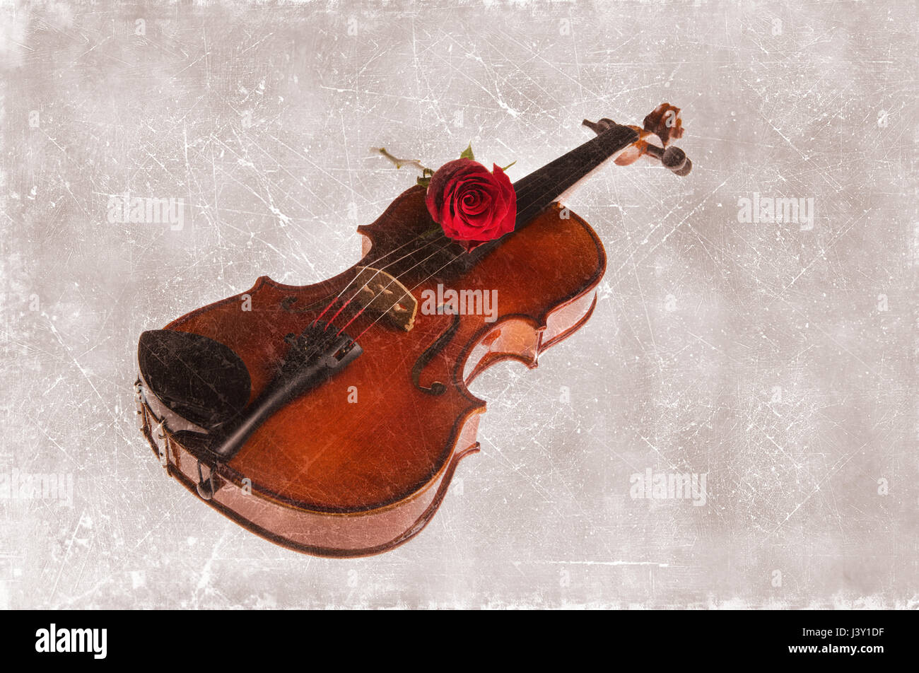 Old Violin Musical Notes Rose High Resolution Stock Photography and ...