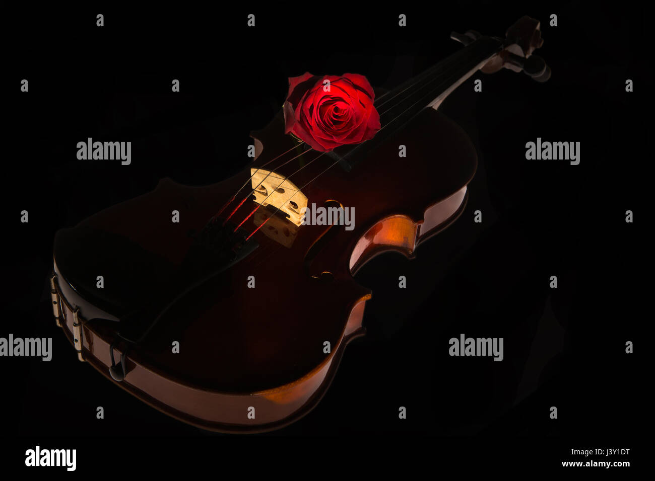 Violin with red rose Stock Photo - Alamy