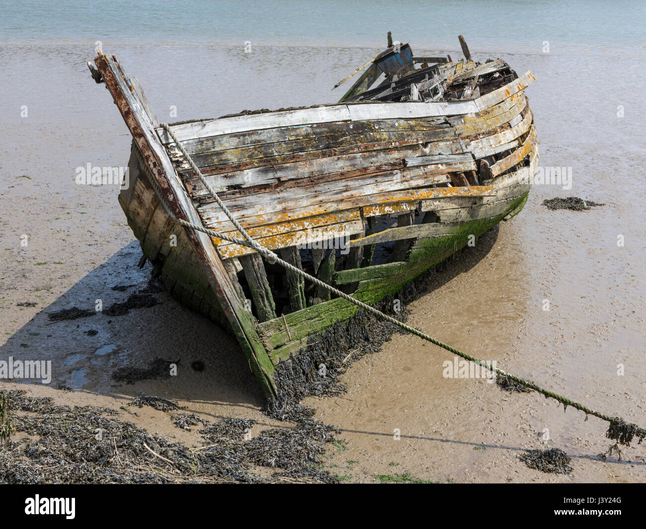 Derelict and rotting wooden boat have submerged in silt at low tide on ...
