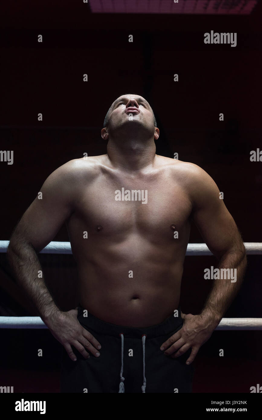 portrait of muscular professional kickboxer who standing in the ring ...