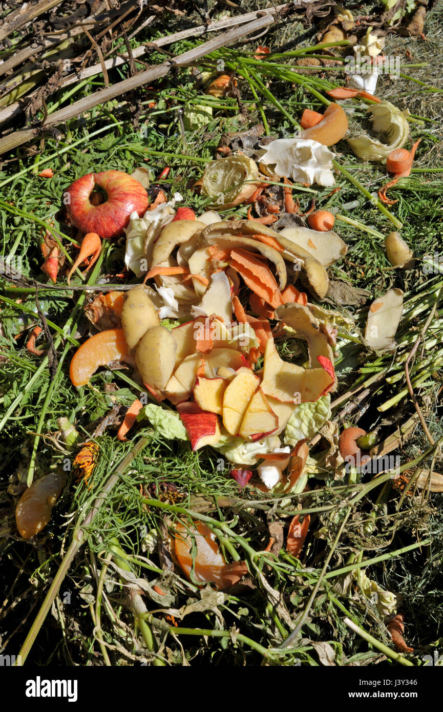 Recycling garden and kitchen food waste on a compost heap including ...