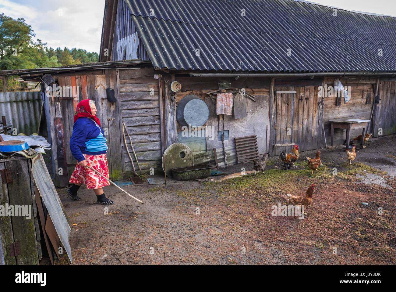 Woman who has returned to her farm (so called Samosely) in Kupuvate ...