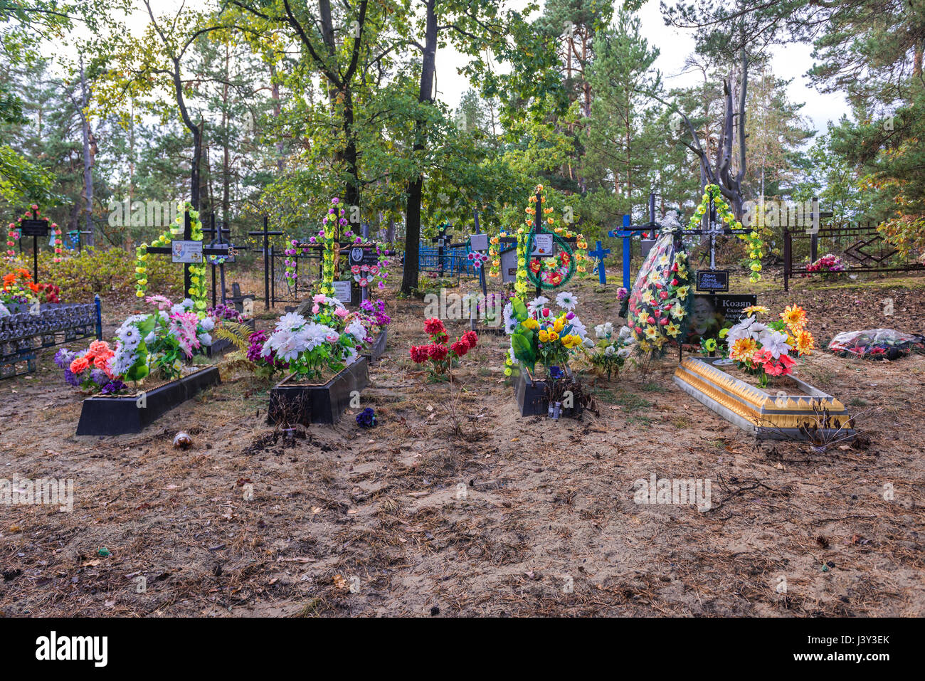 Cemetery in Kupuvate village of Chernobyl Nuclear Power Plant Zone of ...