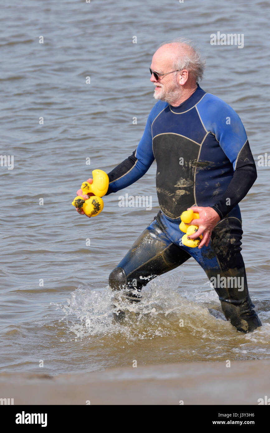 Man in wetsuits organise yellow 'rubber' plastic ducks during a duck ...