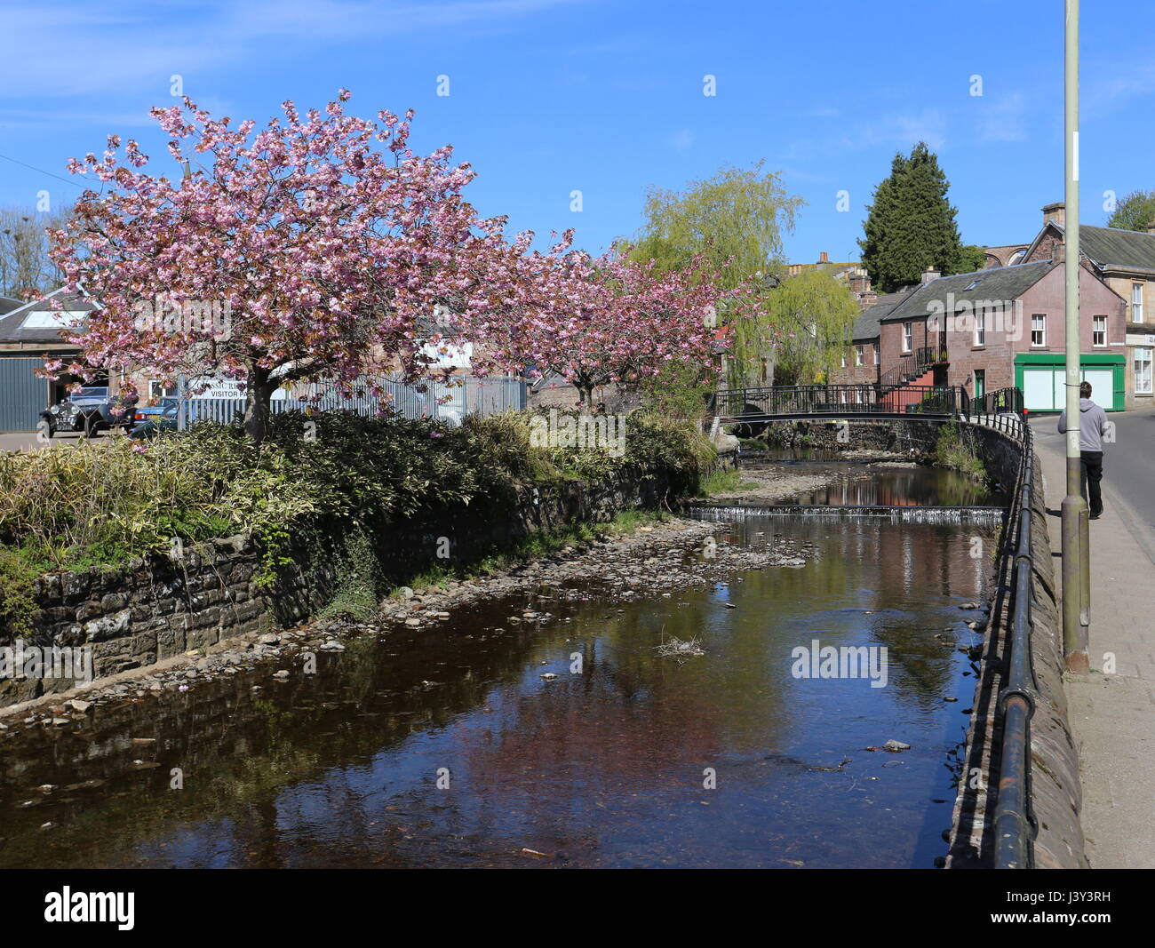 Tree blossom beside Alyth Burn in Alyth Scotland May 2017 Stock Photo ...