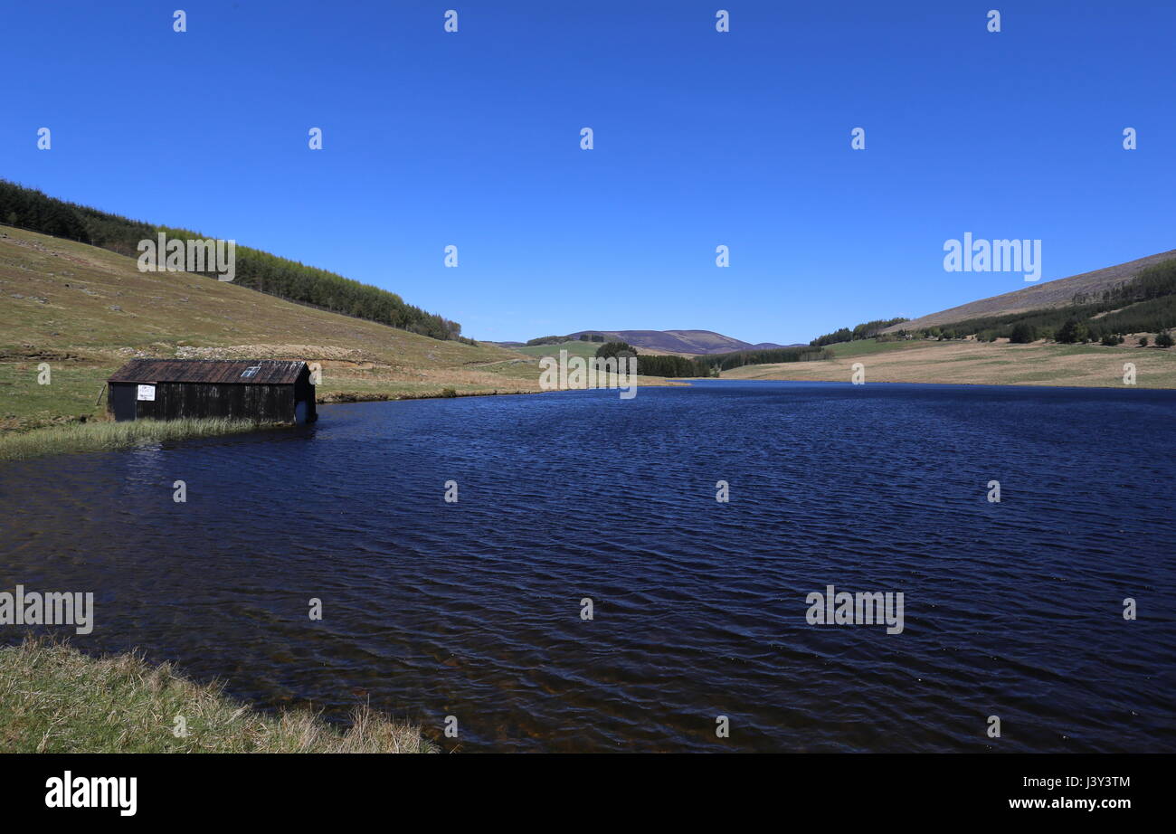 Shandra High Resolution Stock Photography and Images - Alamy