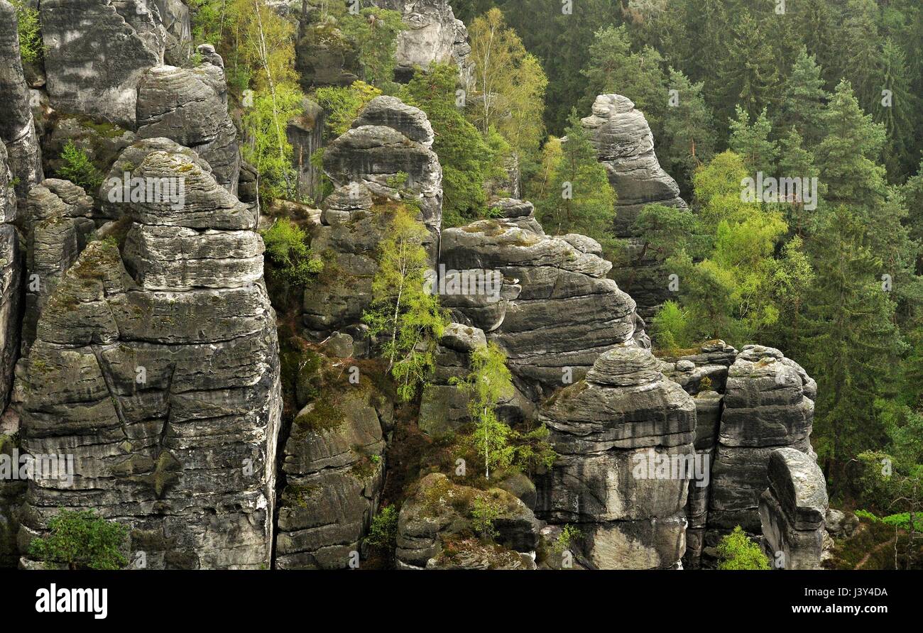 saxon switzerland national park mountain view - Germany, Bastei Stock ...