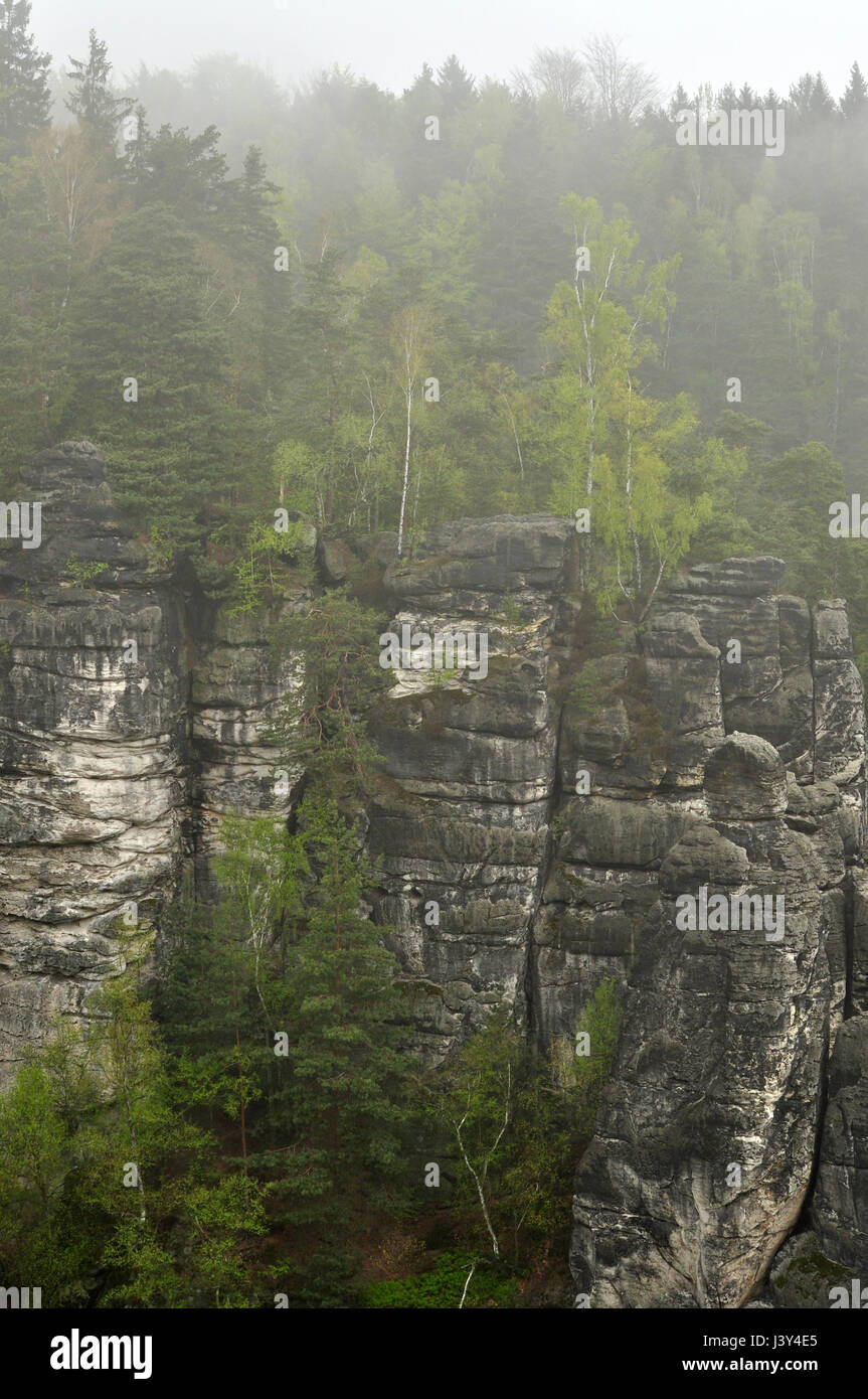saxon switzerland national park mountain view - Germany, Bastei Stock ...