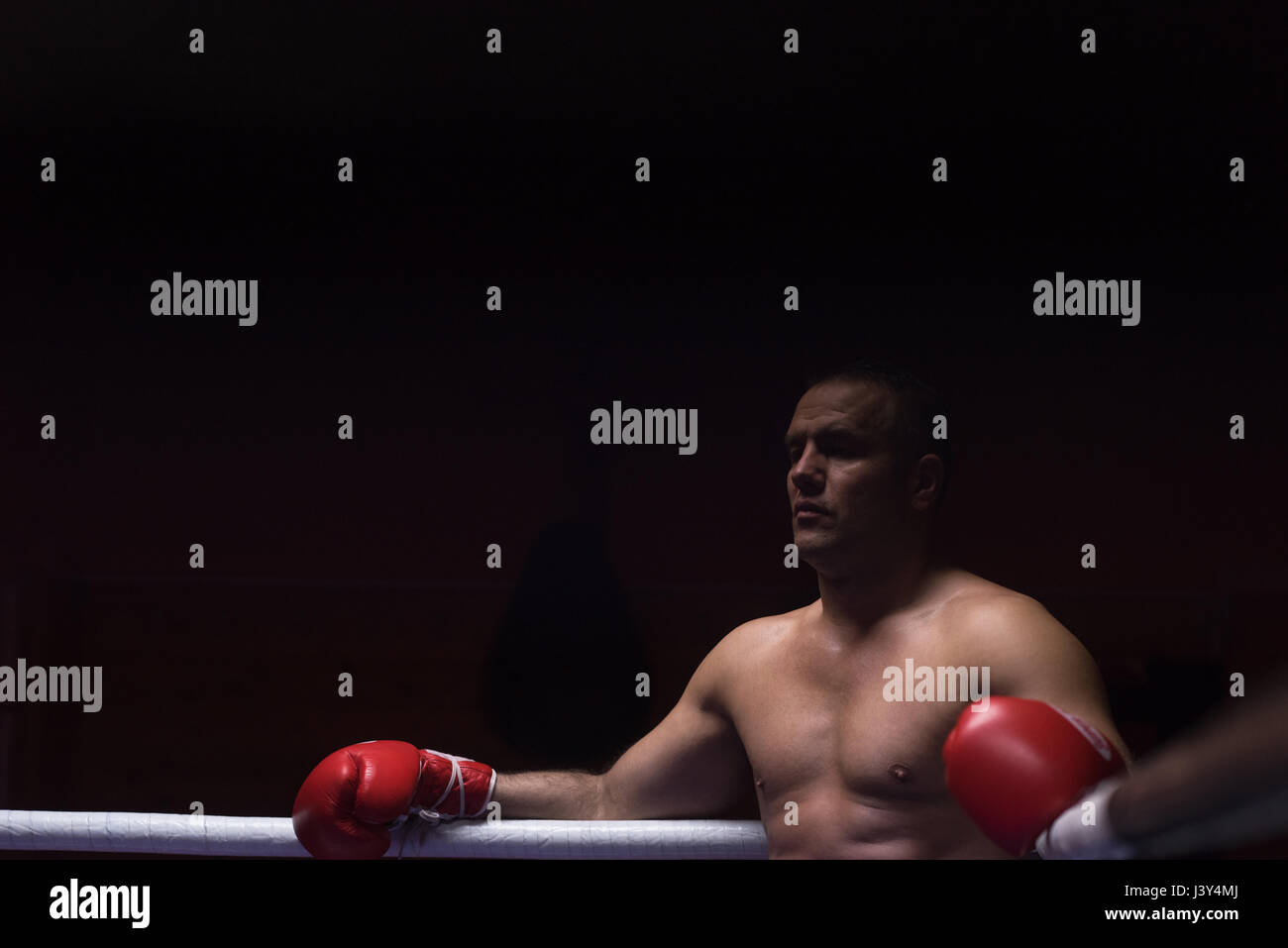 muscular professional kick boxer resting on the ropes in the corner of ...