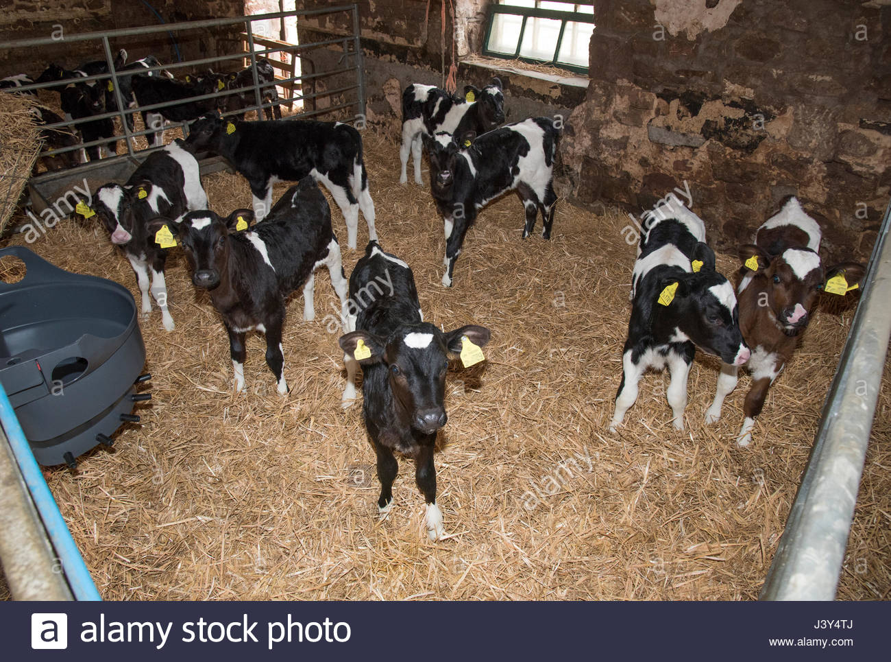 Cheshire Farm High Resolution Stock Photography and Images - Alamy