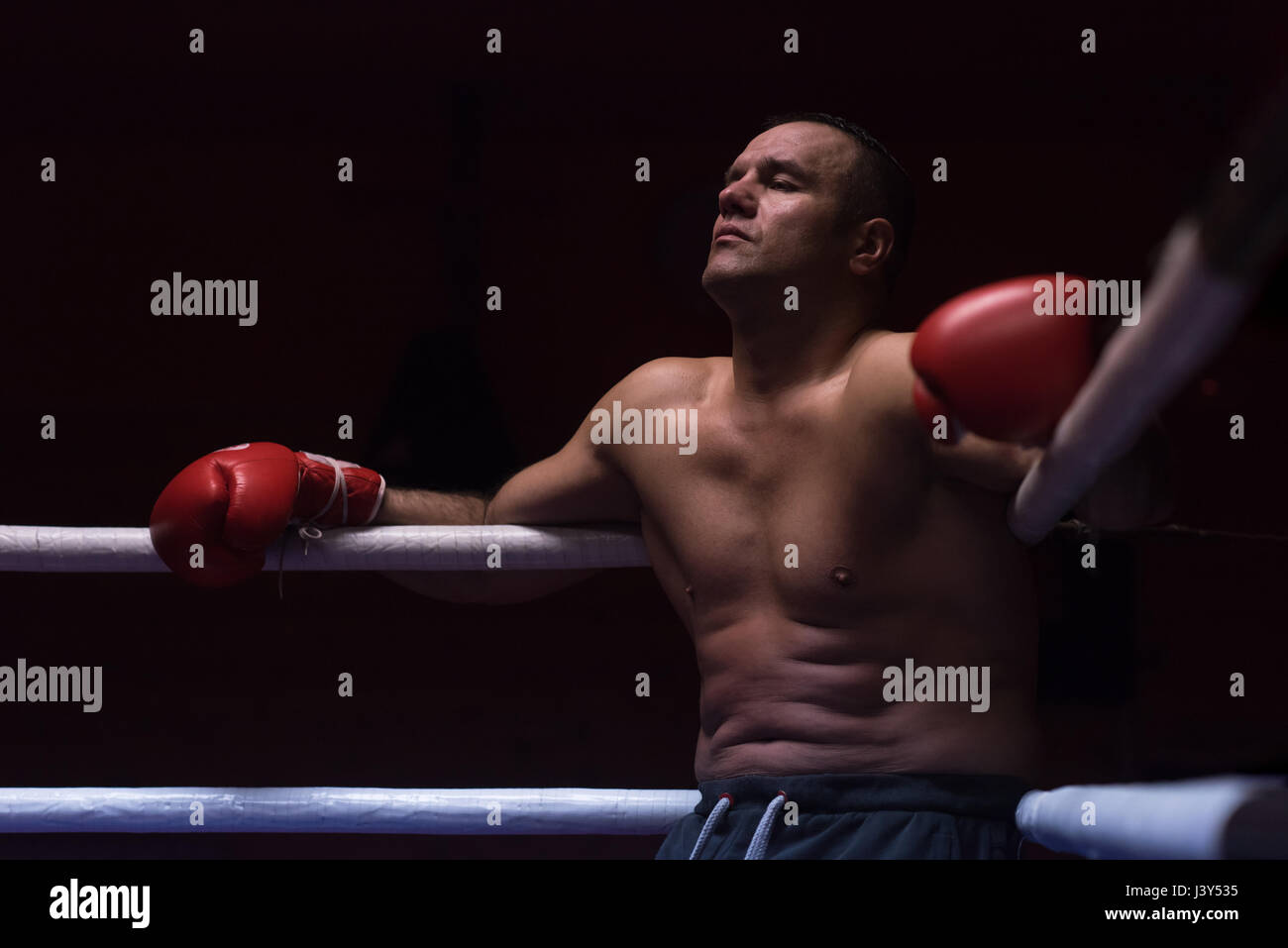muscular professional kick boxer resting on the ropes in the corner of ...