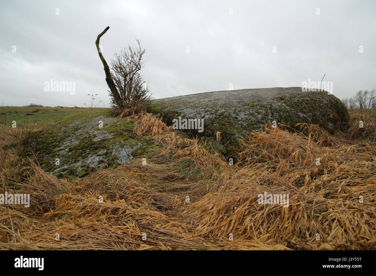 Erratic block at Neu Dargelin, Mecklenburg-Vorpommern, Germany Stock ...