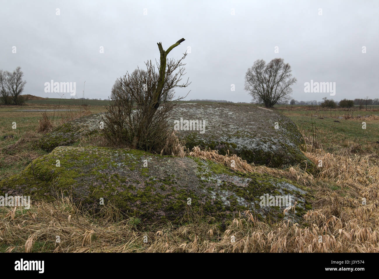 Erratic block at Neu Dargelin, Mecklenburg-Vorpommern, Germany Stock ...