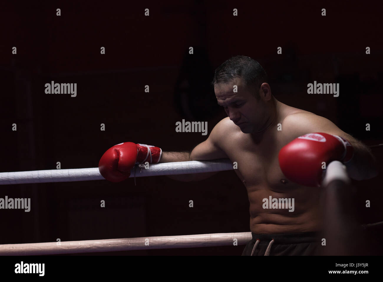 muscular professional kick boxer resting on the ropes in the corner of ...