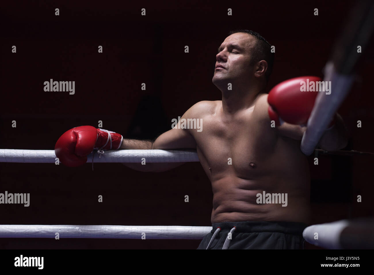 muscular professional kick boxer resting on the ropes in the corner of ...