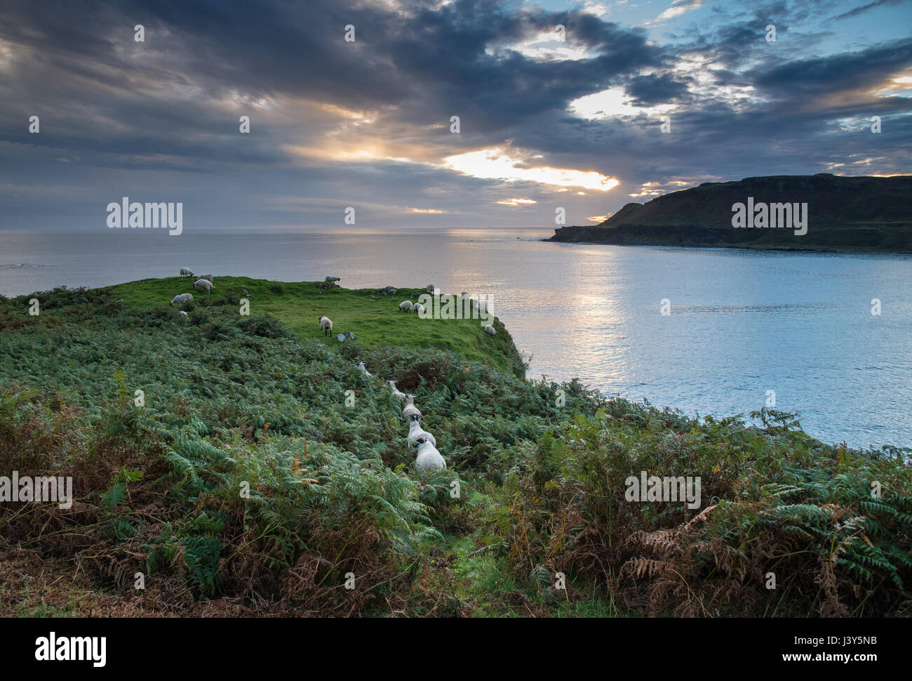 Sunset over Calgary Bay, Calgary, Isle of Mull, Scotland Stock Photo ...