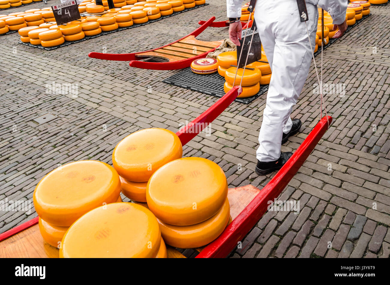 ALKMAAR, THE NETHERLANDS - APRIL 22, 2016: Traditional Dutch cheese ...