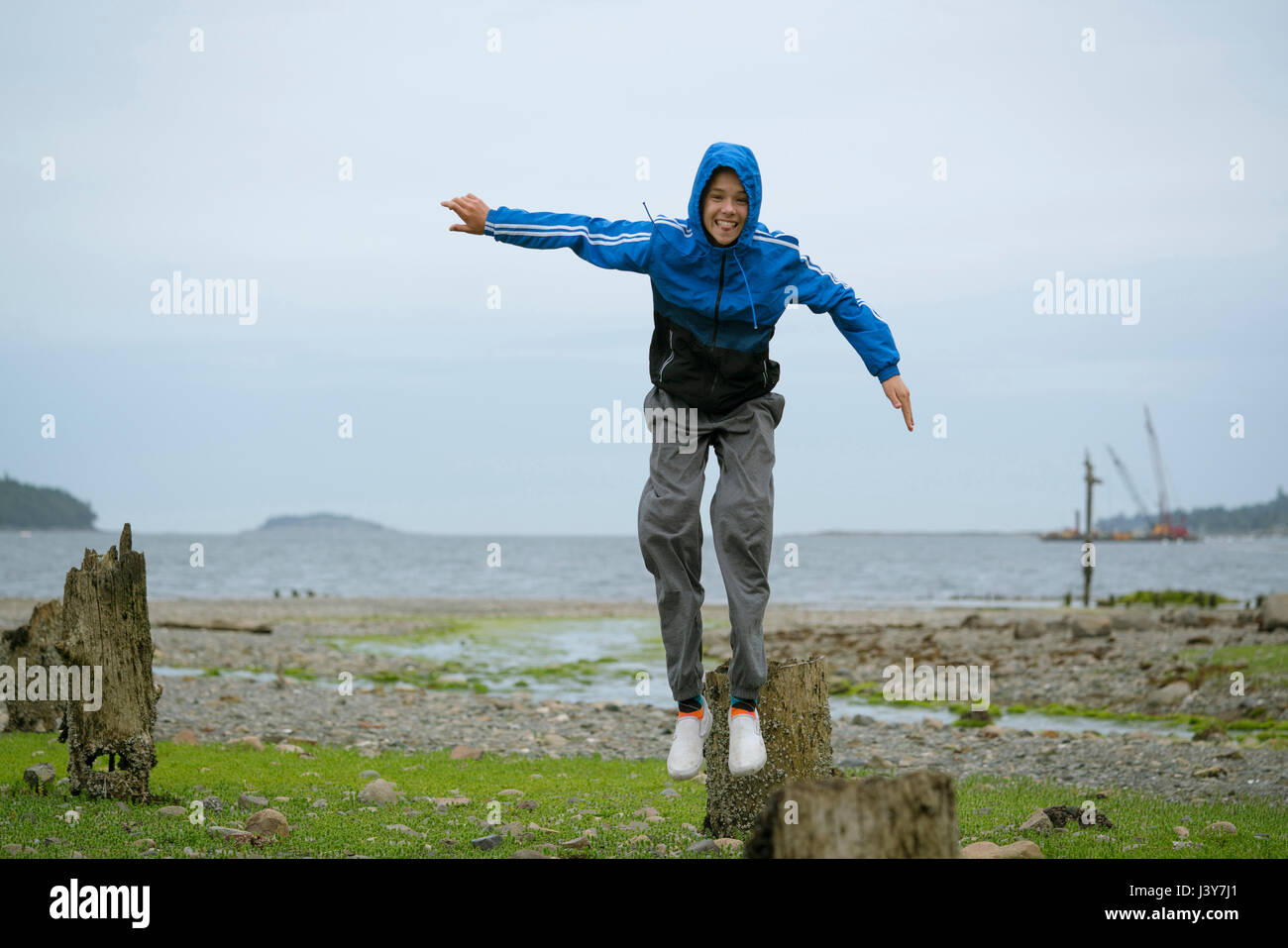 Teenage boy jumping from tree stump, Pacific Rim National Park ...
