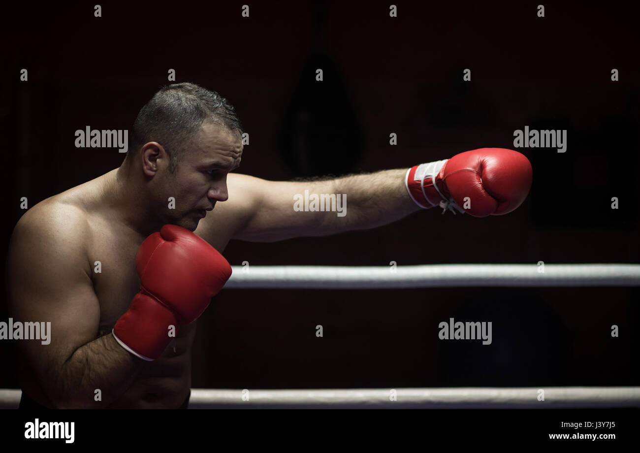 professional kickboxer with hands in martial arts position training for ...