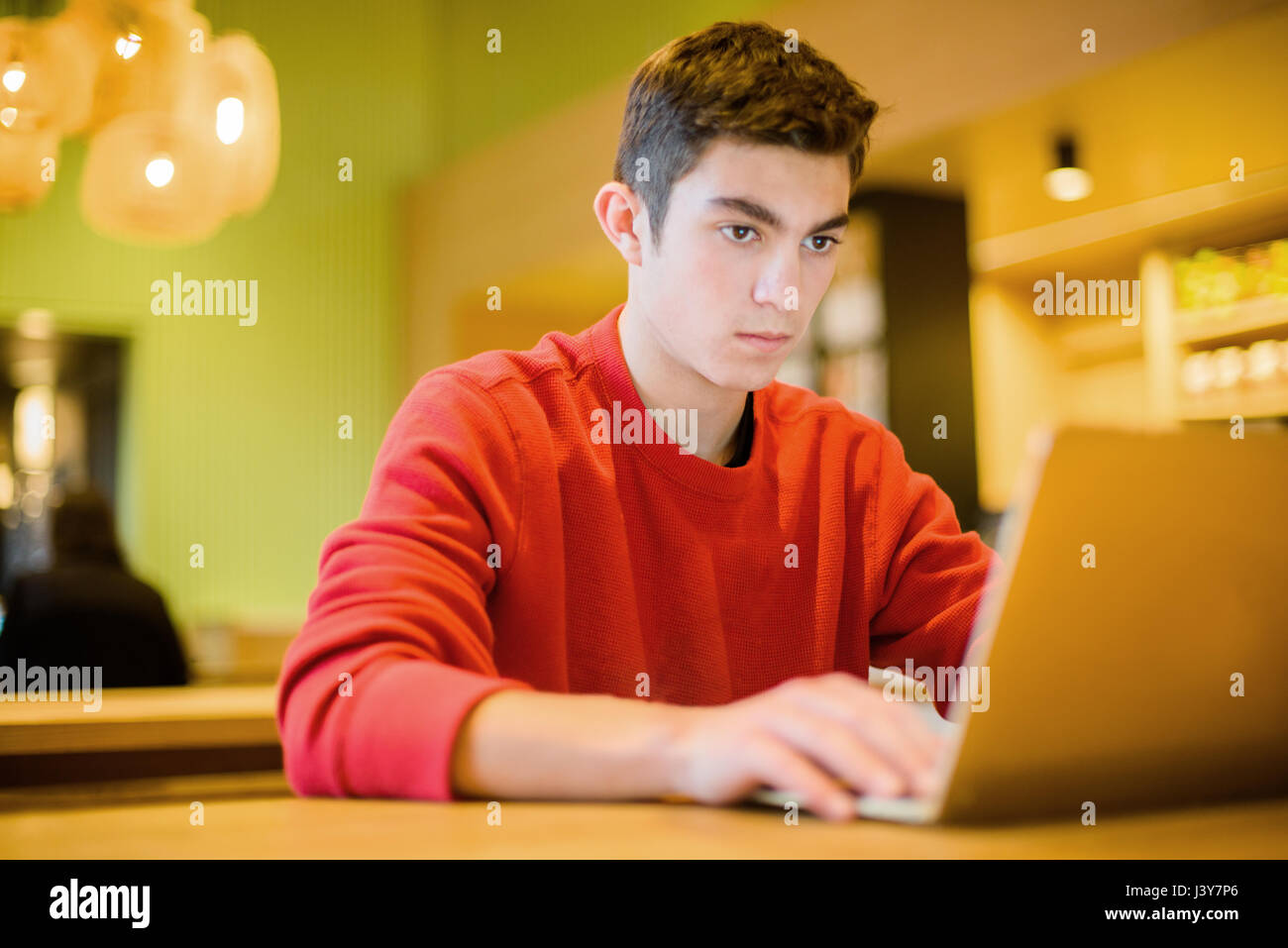 Teenage boy using laptop Stock Photo - Alamy