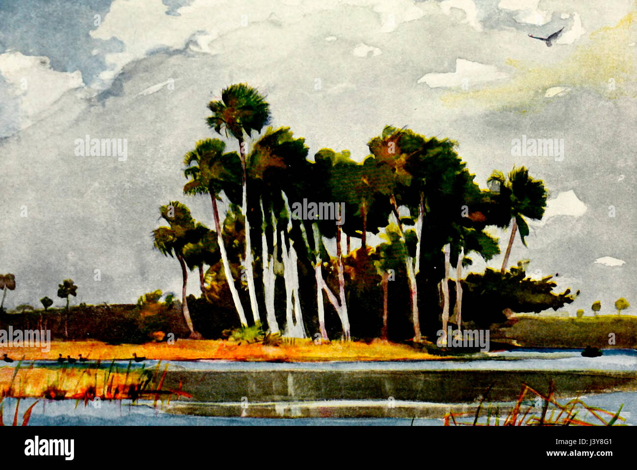 Winslow homer hi-res stock photography and images - Alamy