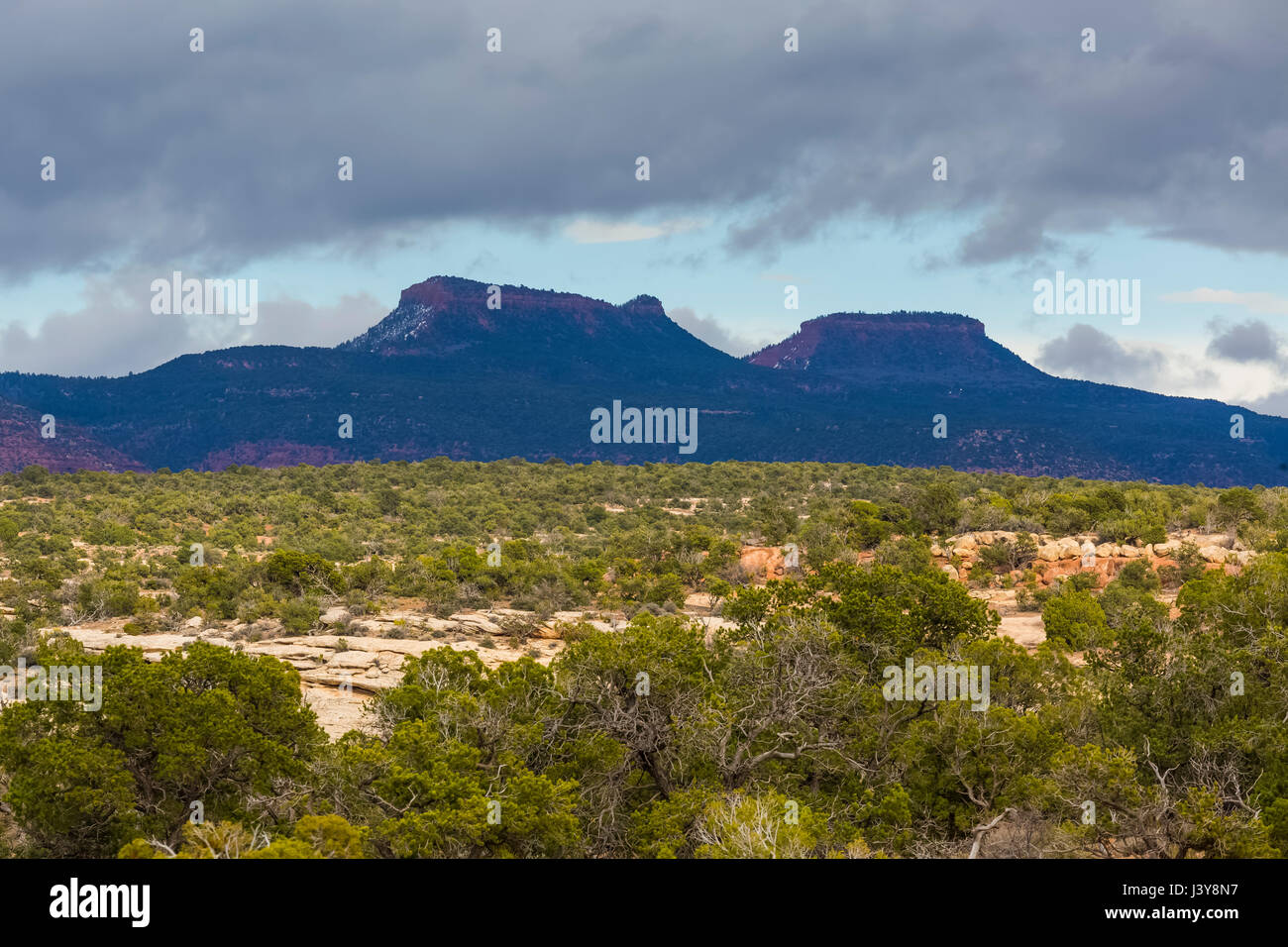 Bears Ears Buttes and the surrounding pinyon-juniper forest in Bears ...