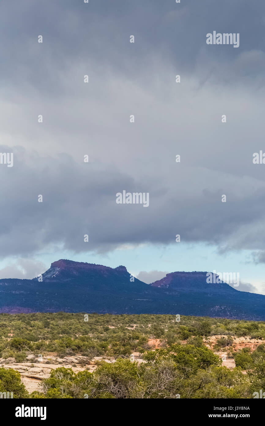 Bears Ears Buttes and the surrounding pinyon-juniper forest in Bears ...