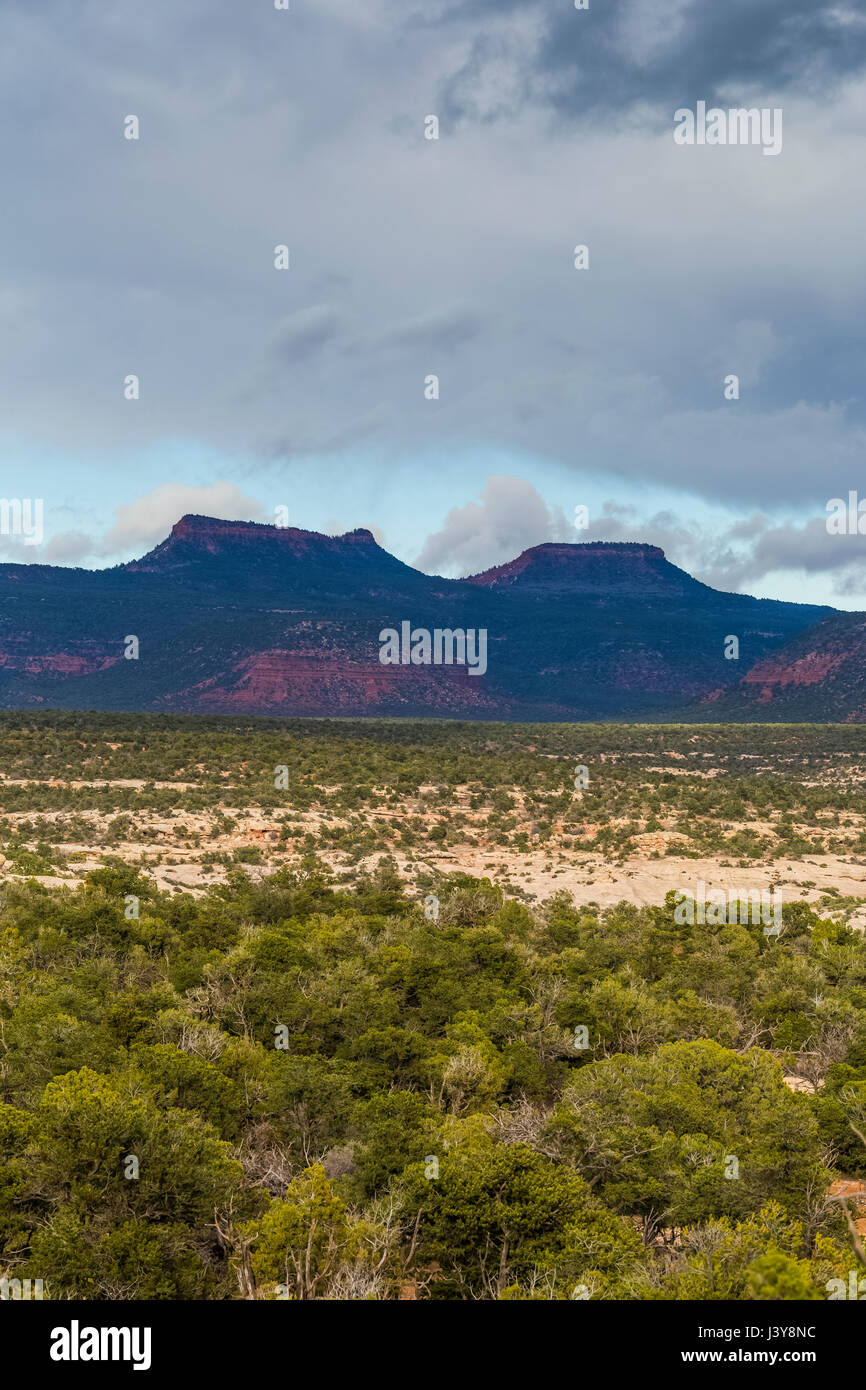 Bears ears butte hi-res stock photography and images - Alamy