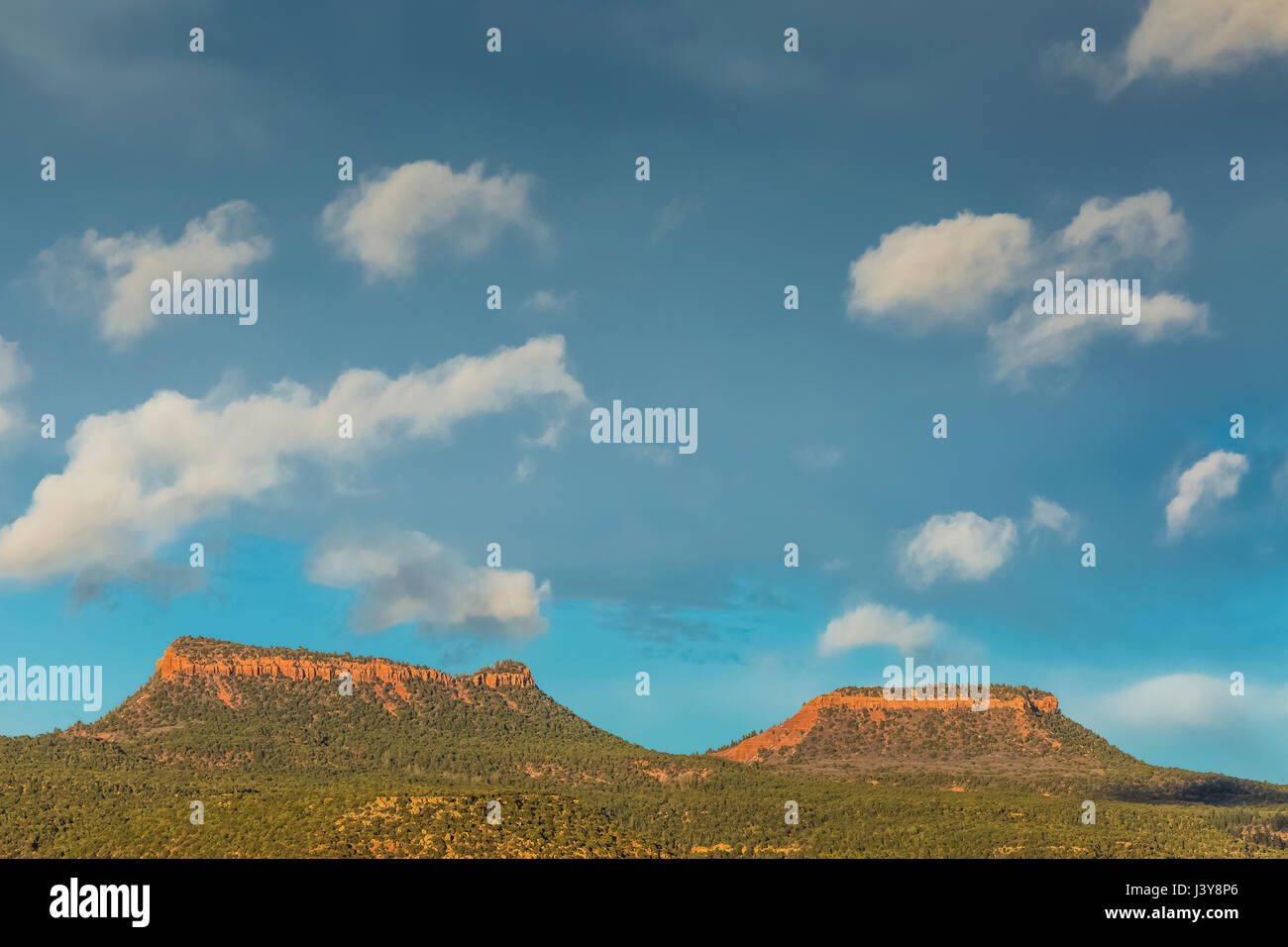 Bears ears utah hi-res stock photography and images - Alamy