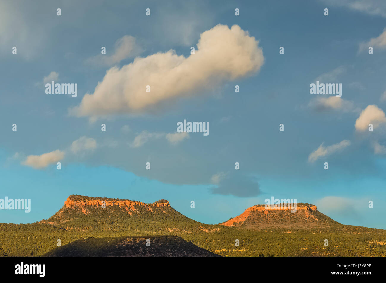 Bears Ears Buttes and the surrounding pinyon-juniper forest in Bears ...