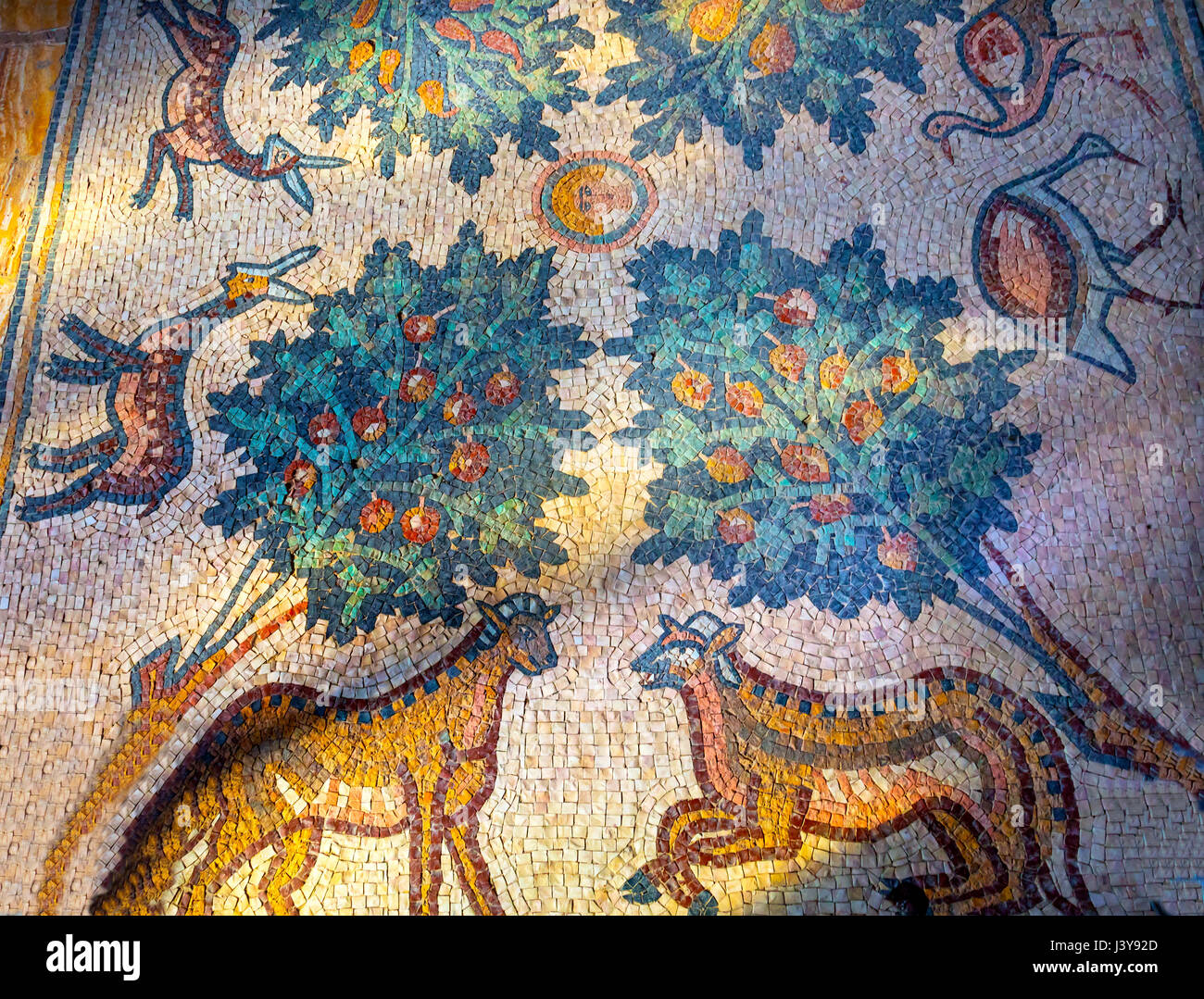 Animal Tree Mosaic John Baptist Greek Orthodox Church Jesus Baptism ...