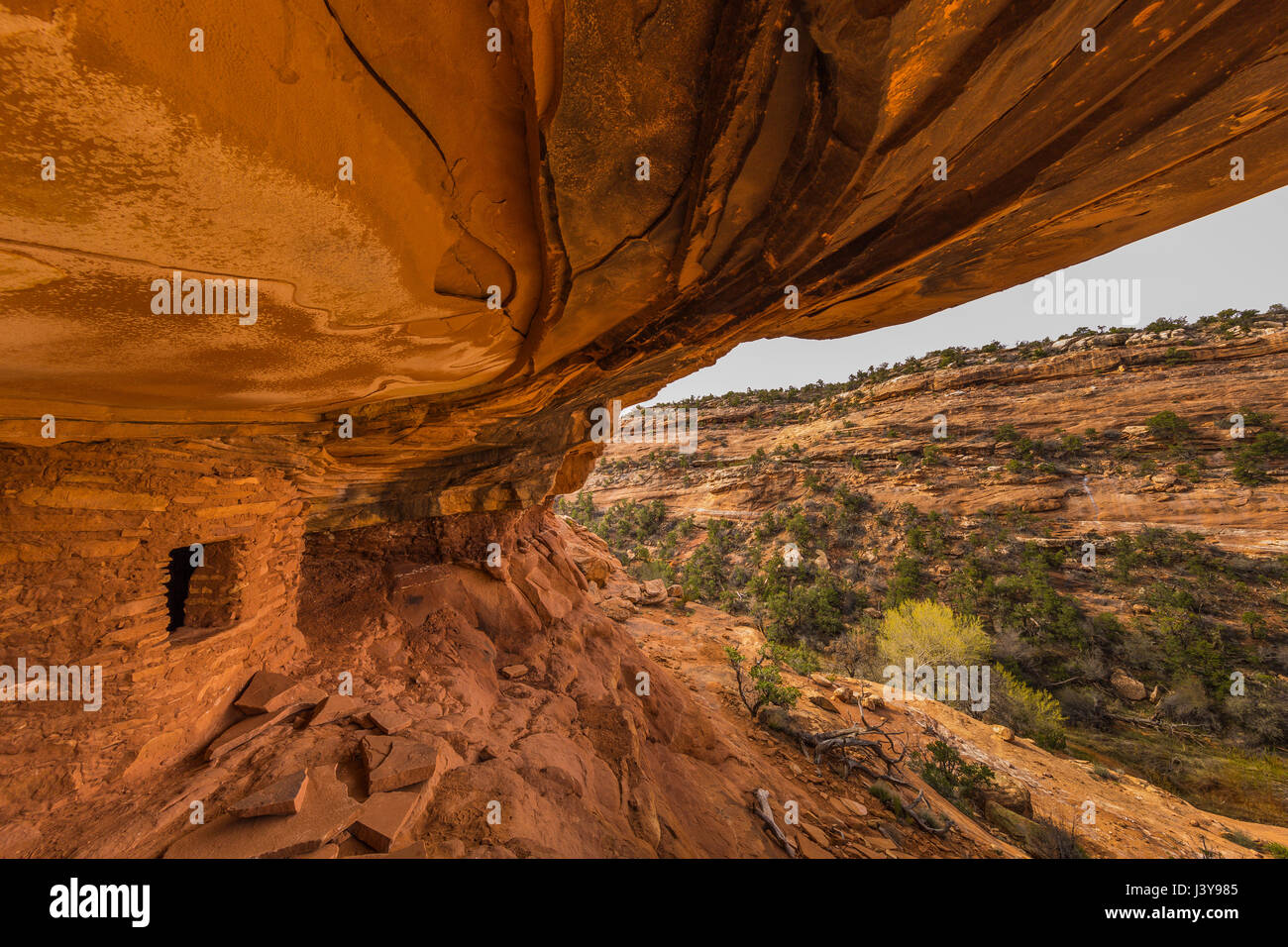 Alcove house prehistoric cliff dwelling hi-res stock photography and ...