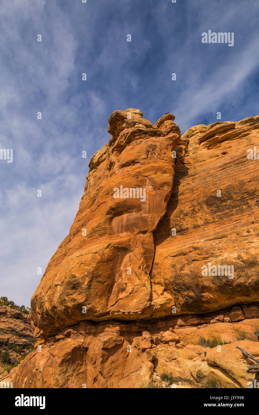 Road Canyon in Bears Ears National Monument, southern Utah, USA Stock ...