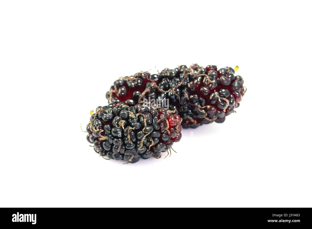 close up Mulberry isolated on white background Stock Photo - Alamy