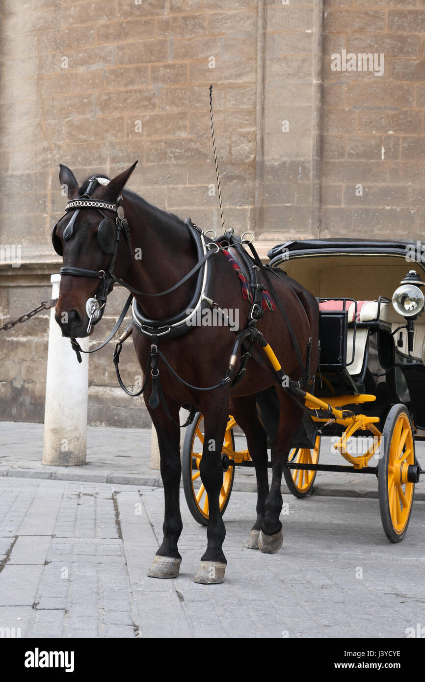 Closeup of nice vintage coach with big yellow wheels and horse Stock ...
