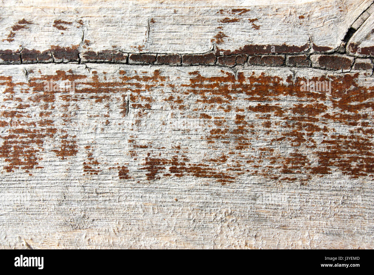 Boards a tree. Background texture. Photo for your design Stock Photo ...