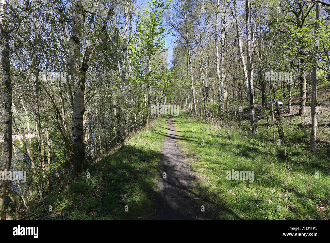 Rob Roy Way on former railway line between Grandtully and Aberfeldy ...