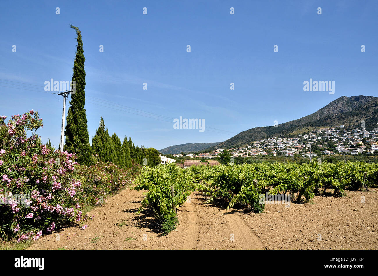 Rosas (roses), spain hi-res stock photography and images - Alamy