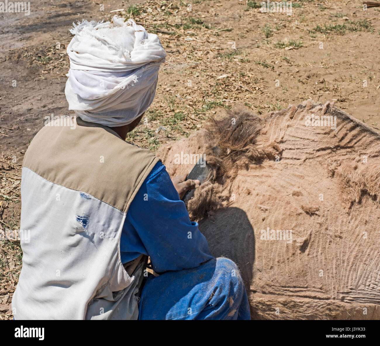 Traditional shearing hi-res stock photography and images - Alamy