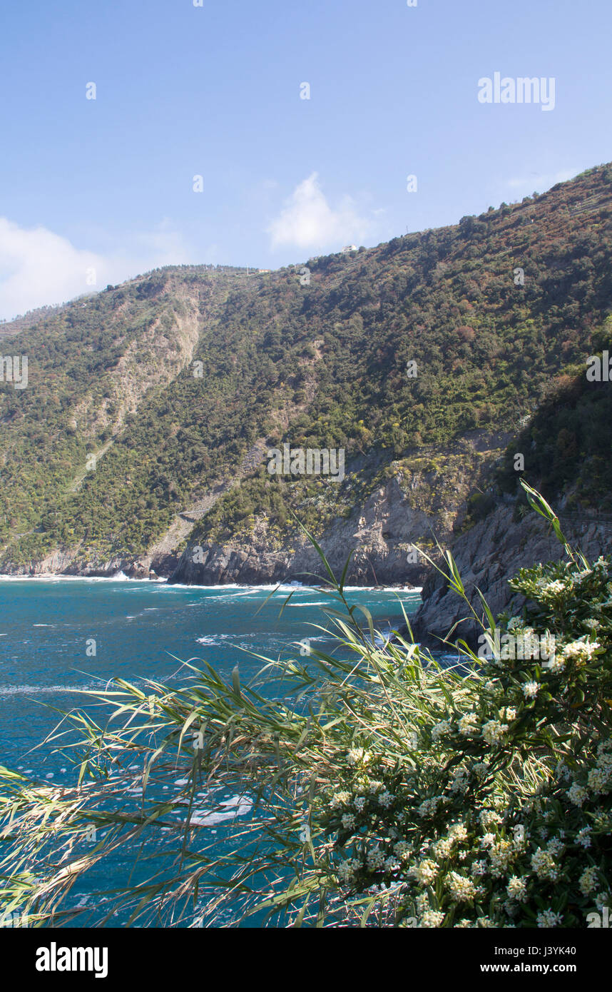 Five lands hi-res stock photography and images - Alamy