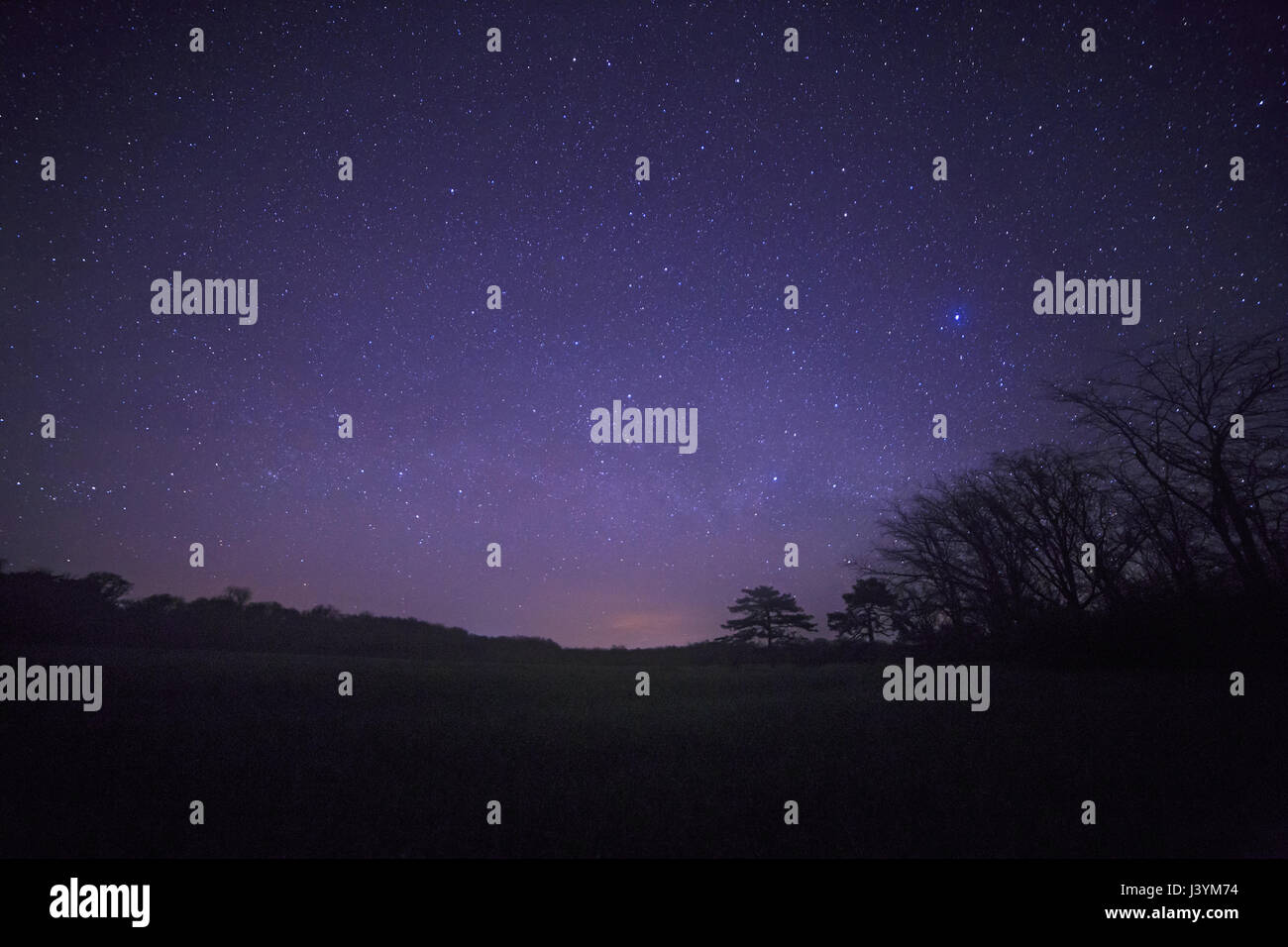 landscape with night sky above forest Stock Photo - Alamy