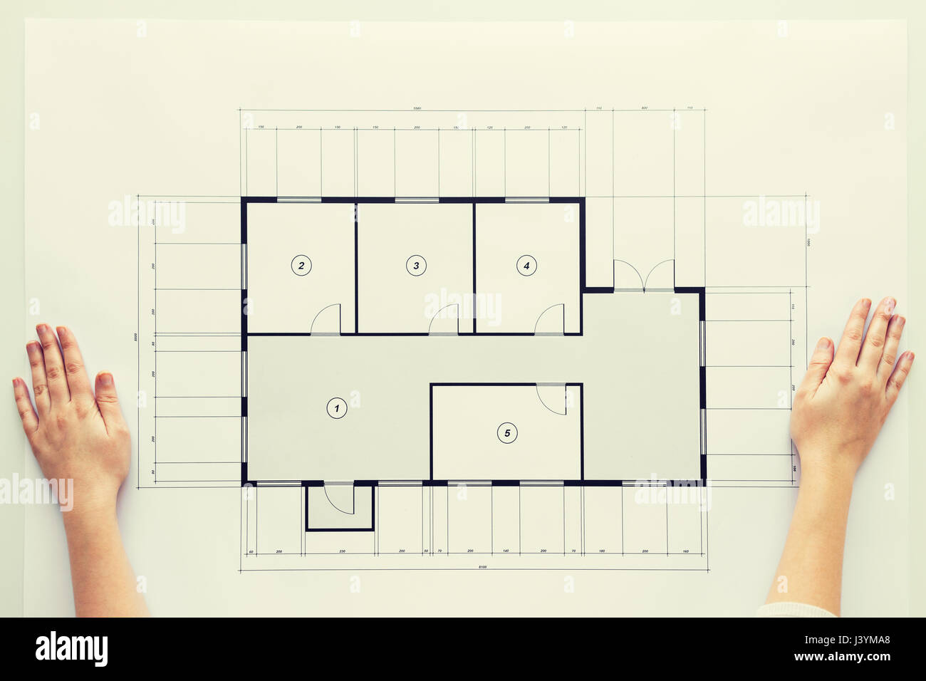 close up of hands with architectural blueprint Stock Photo - Alamy