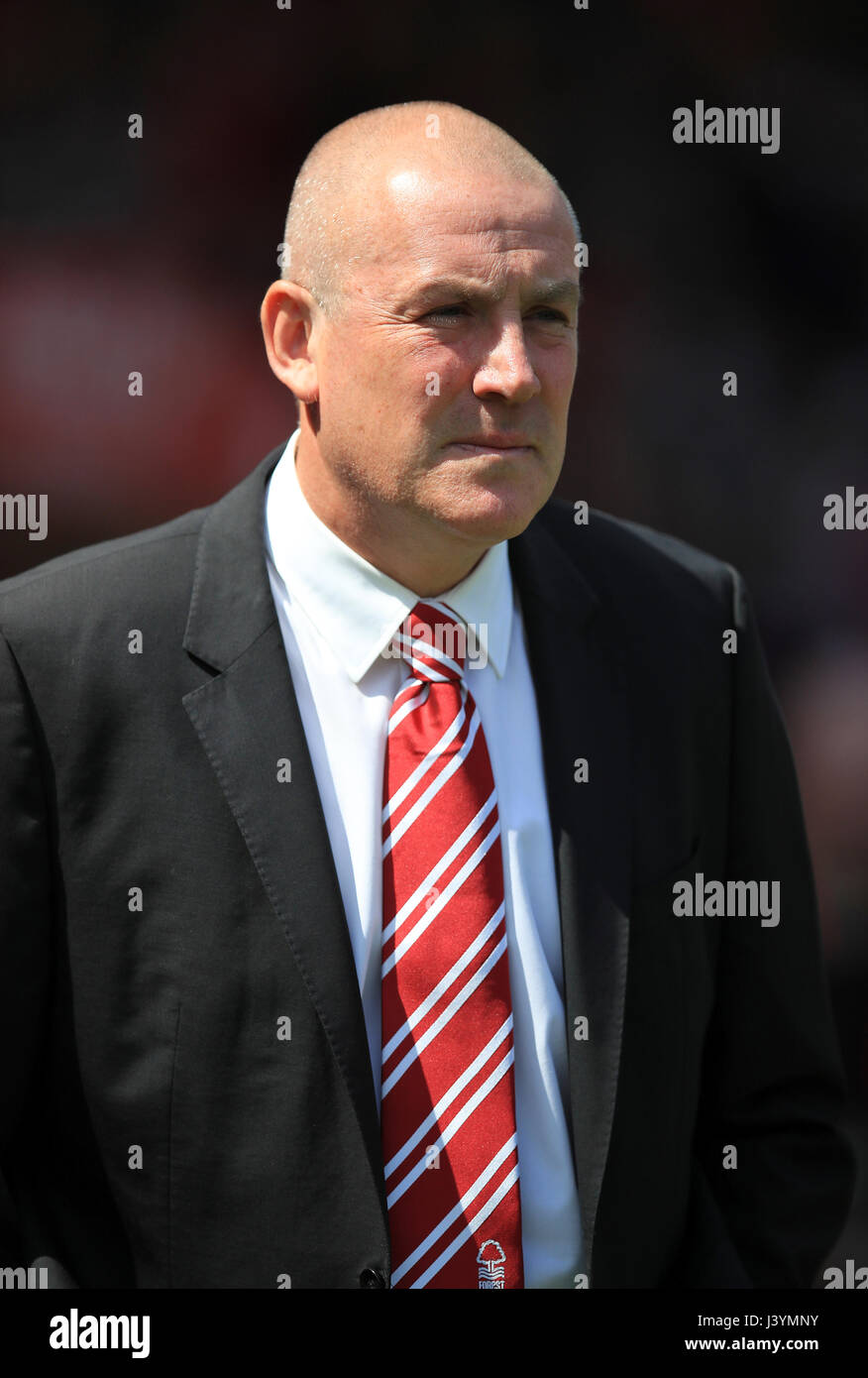 Warburton forest hi-res stock photography and images - Alamy