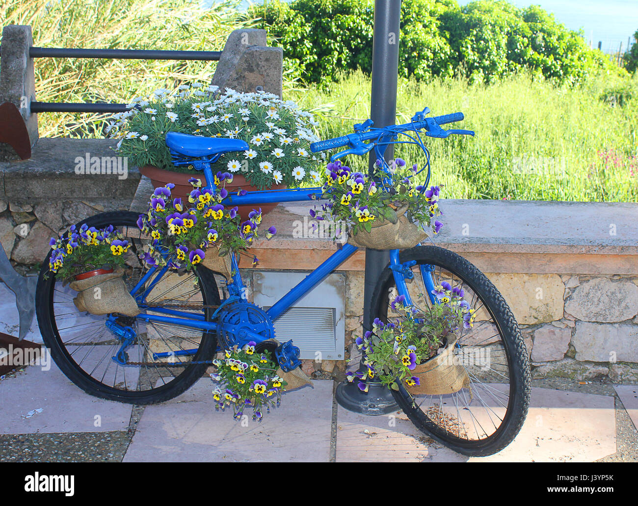 a blue bike with flowers Stock Photo - Alamy