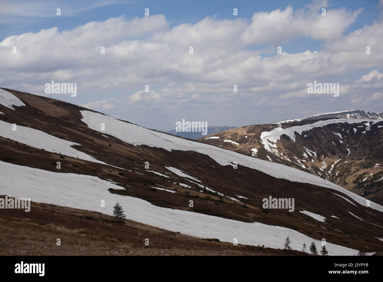 landscape in mountains Carpathians Ukraine, Dragobrat Stock Photo - Alamy