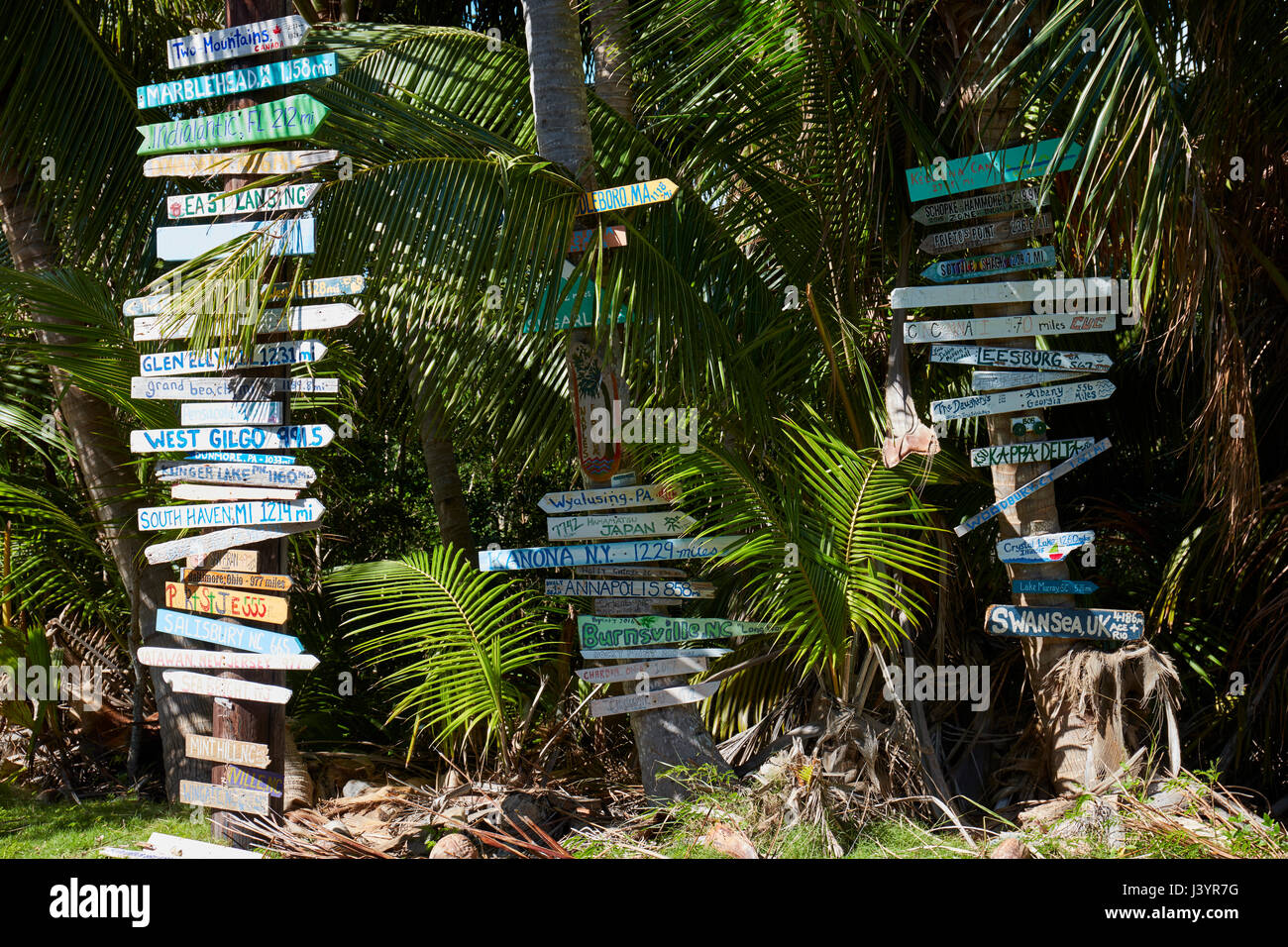 Wooden signs mounted on tree trunks Stock Photo - Alamy