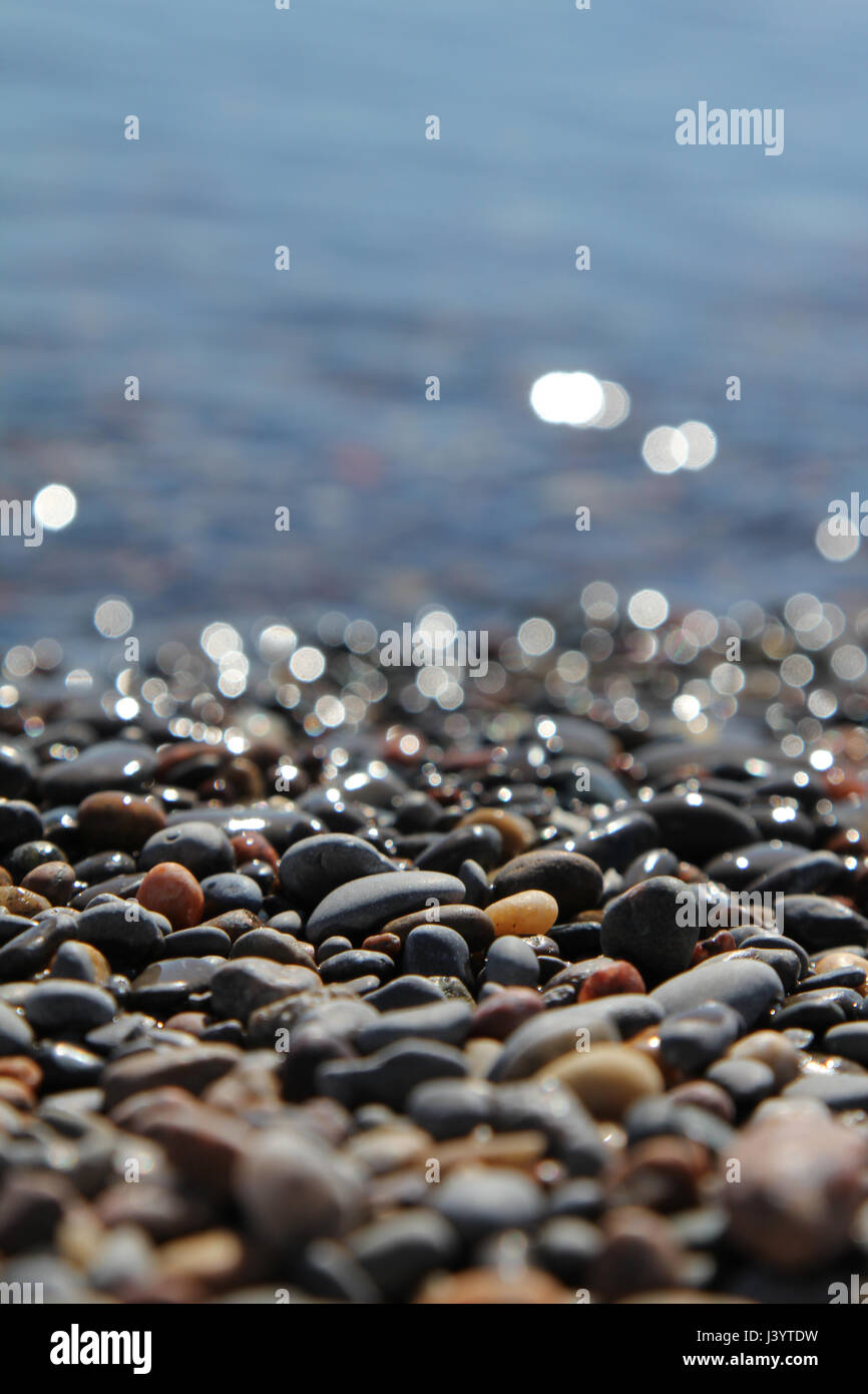Wet pebbles on a beach at Lake Ontario Stock Photo - Alamy
